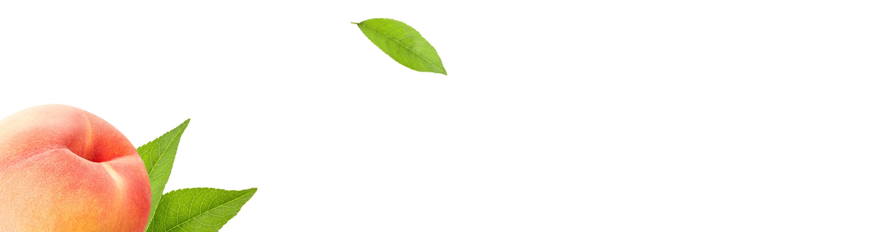 Peach – Spritz Society